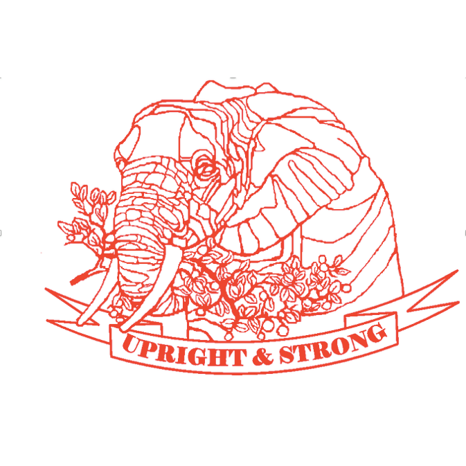 Finance Officer - Morula School Selebi Phikwe jobs in Botswana » Sky Jobs