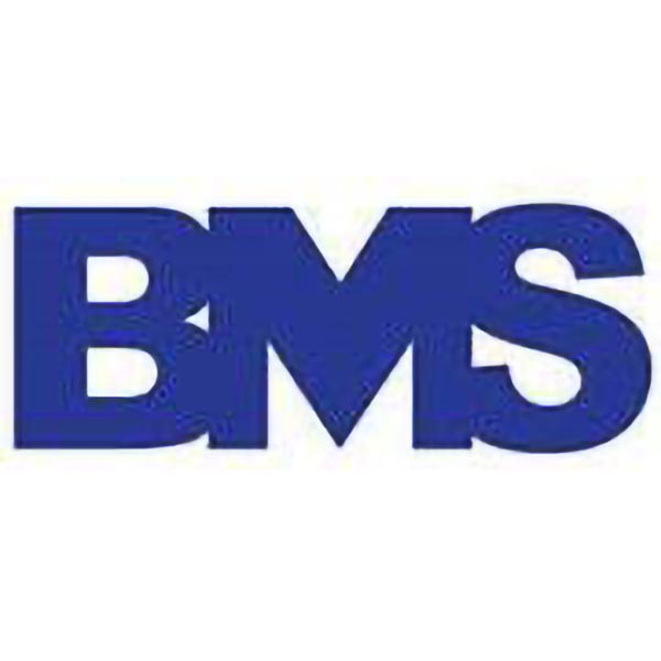 BMS is hiring now in Botswana » Sky Jobs
