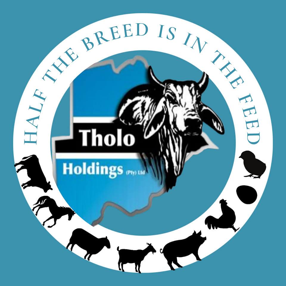 Cashiers - Tholo Holdings jobs in Botswana » Sky Jobs